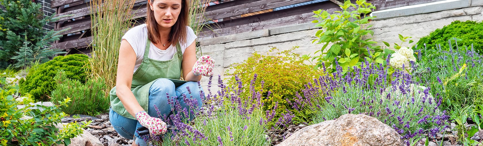 5 Budget Friendly Landscape Design Ideas